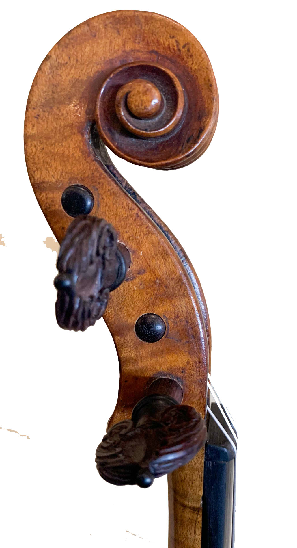 Rare Instruments - Lane & Edwards Violins